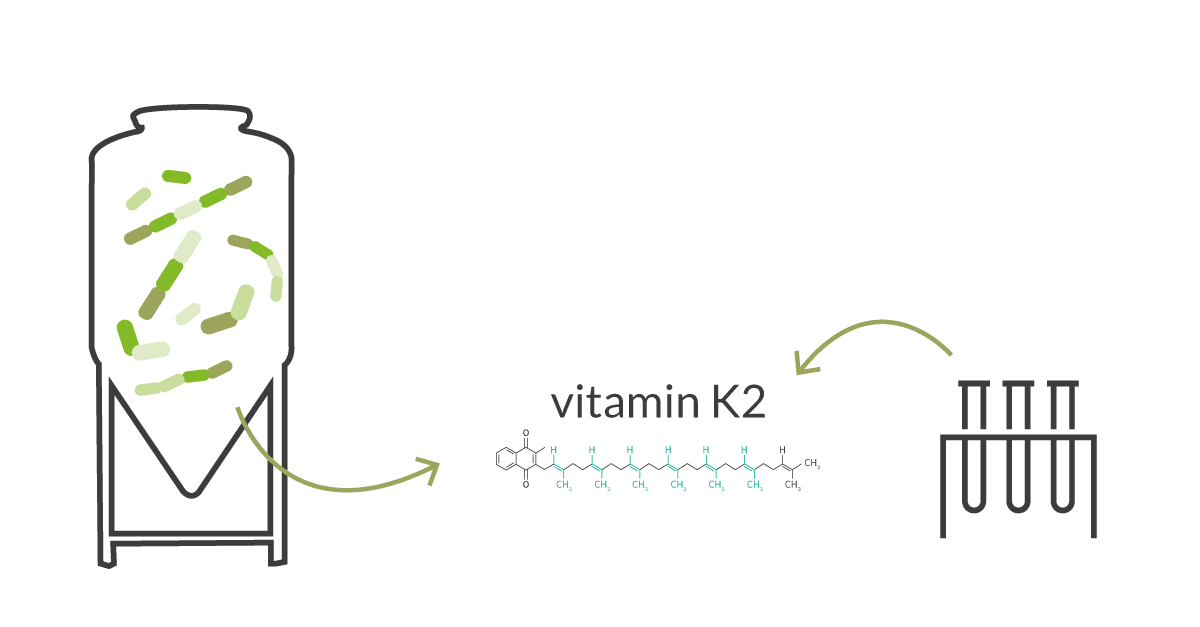 Vitamin K2: From a natural fermentation process or from chemical synthesis?