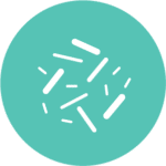 Ibsium: Probiotic Yeast for Clinical Gut Health