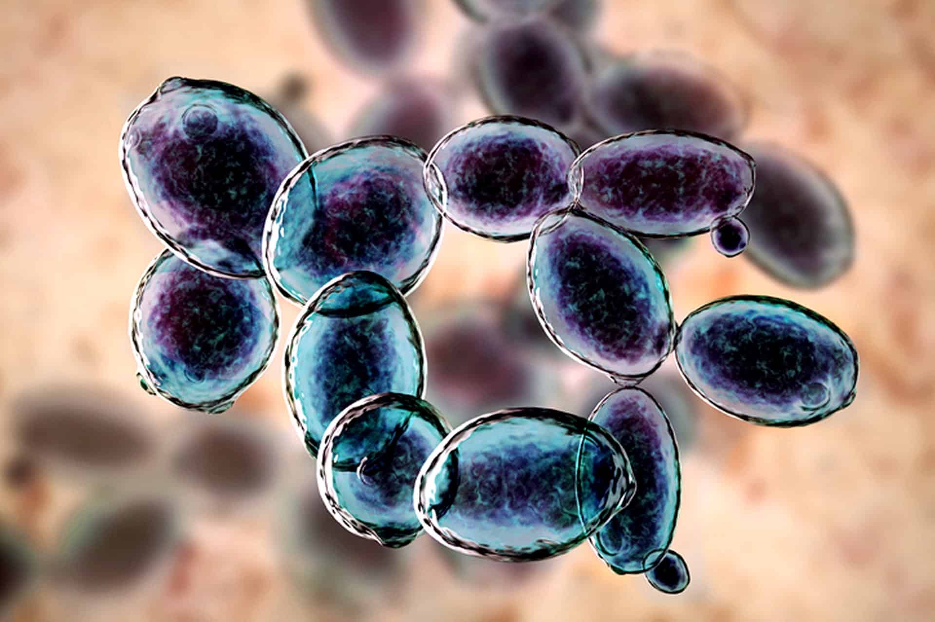 Lynside Yeast Products for Health & Nutrition