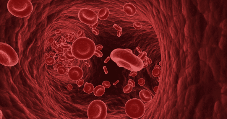 Vitamin K2: Debunking Myths and Understanding Benefits